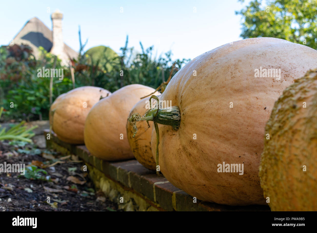 English country cottage farm hi-res stock photography and images - Alamy