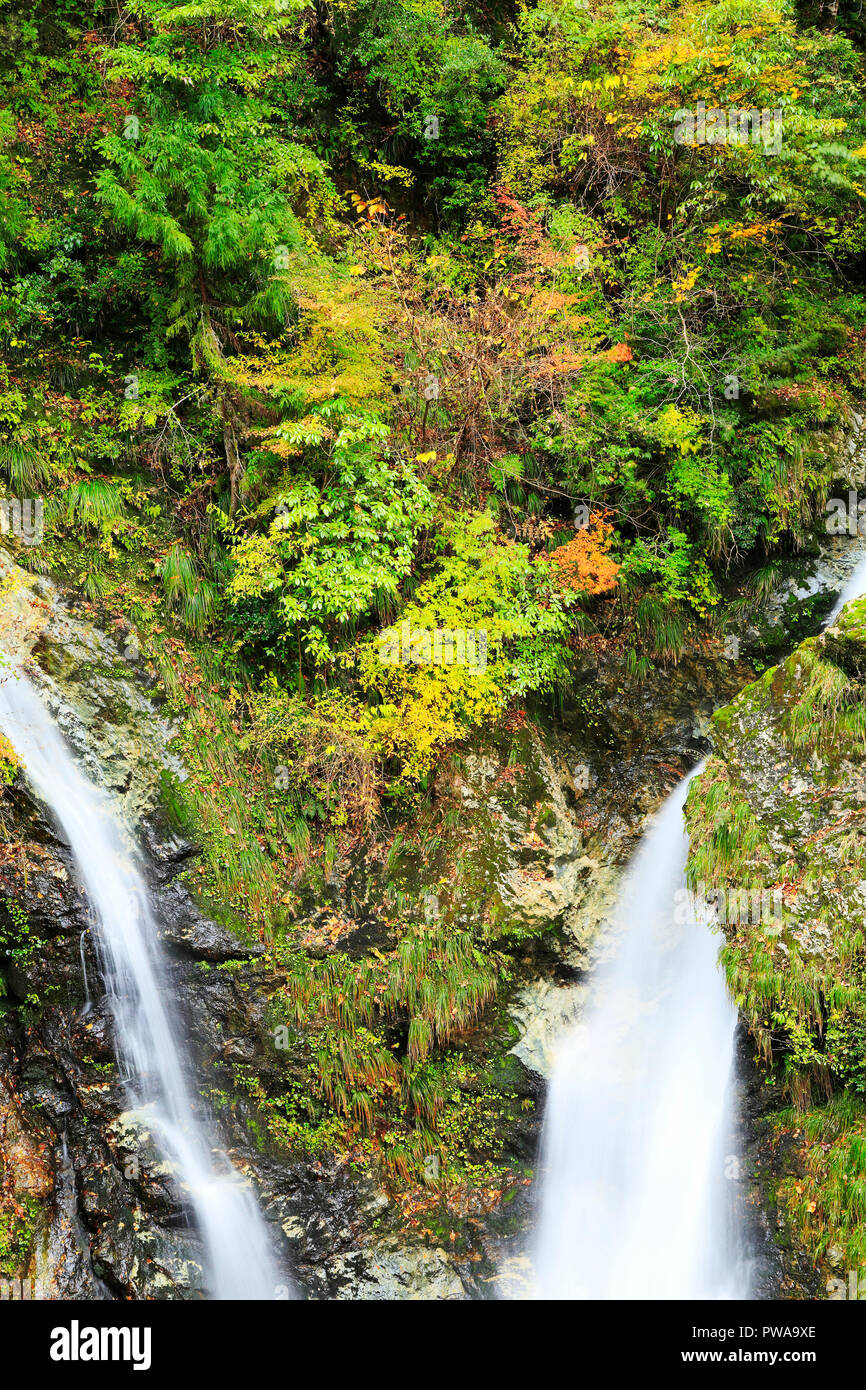 Momijiyama hi-res stock photography and images - Alamy