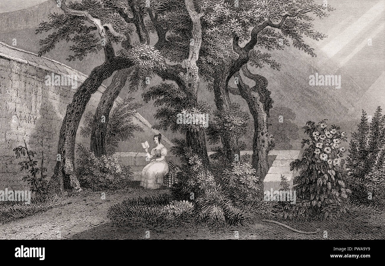 An Arbour in Regent Murray's Garden, or Queen Mary's Bower, Canongate ...