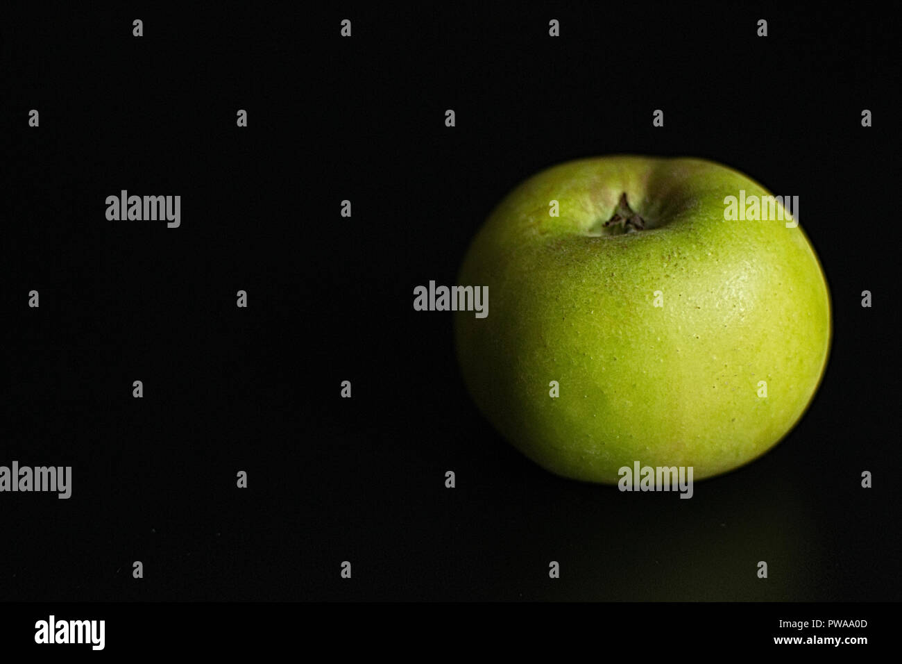 Plant to partial shade hi-res stock photography and images - Alamy