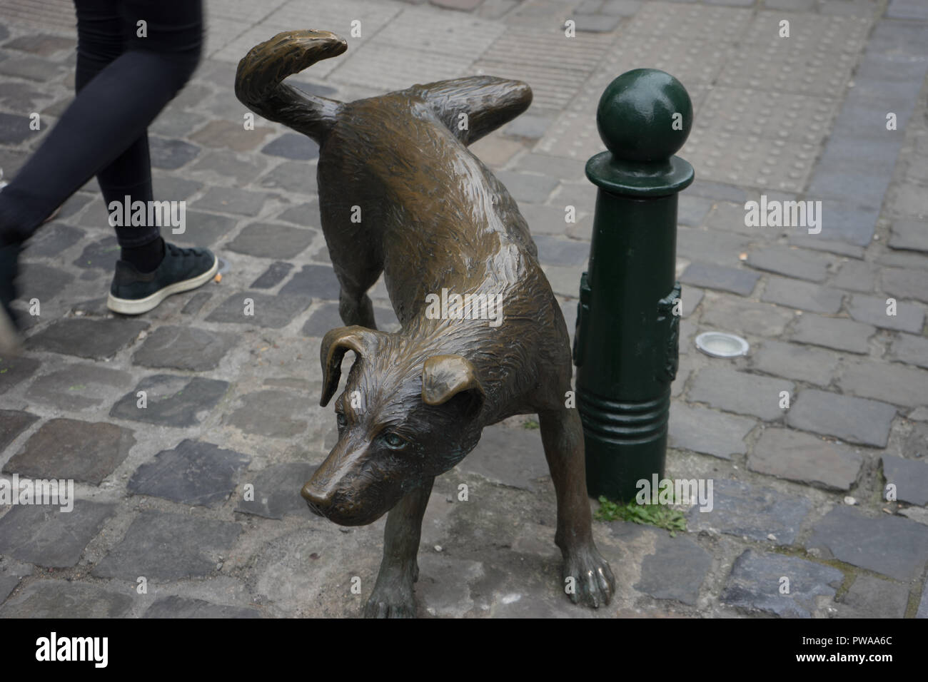 A person walks past a sculpture of a dog about to pee on a pole in ...