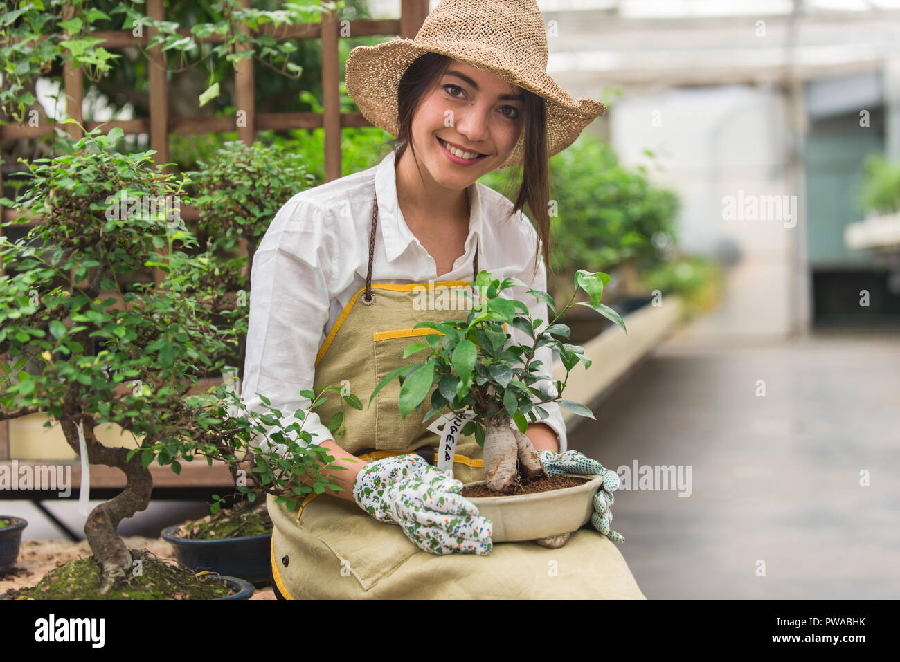 Pretty female gardener taking care of plants in her flowers and plants ...
