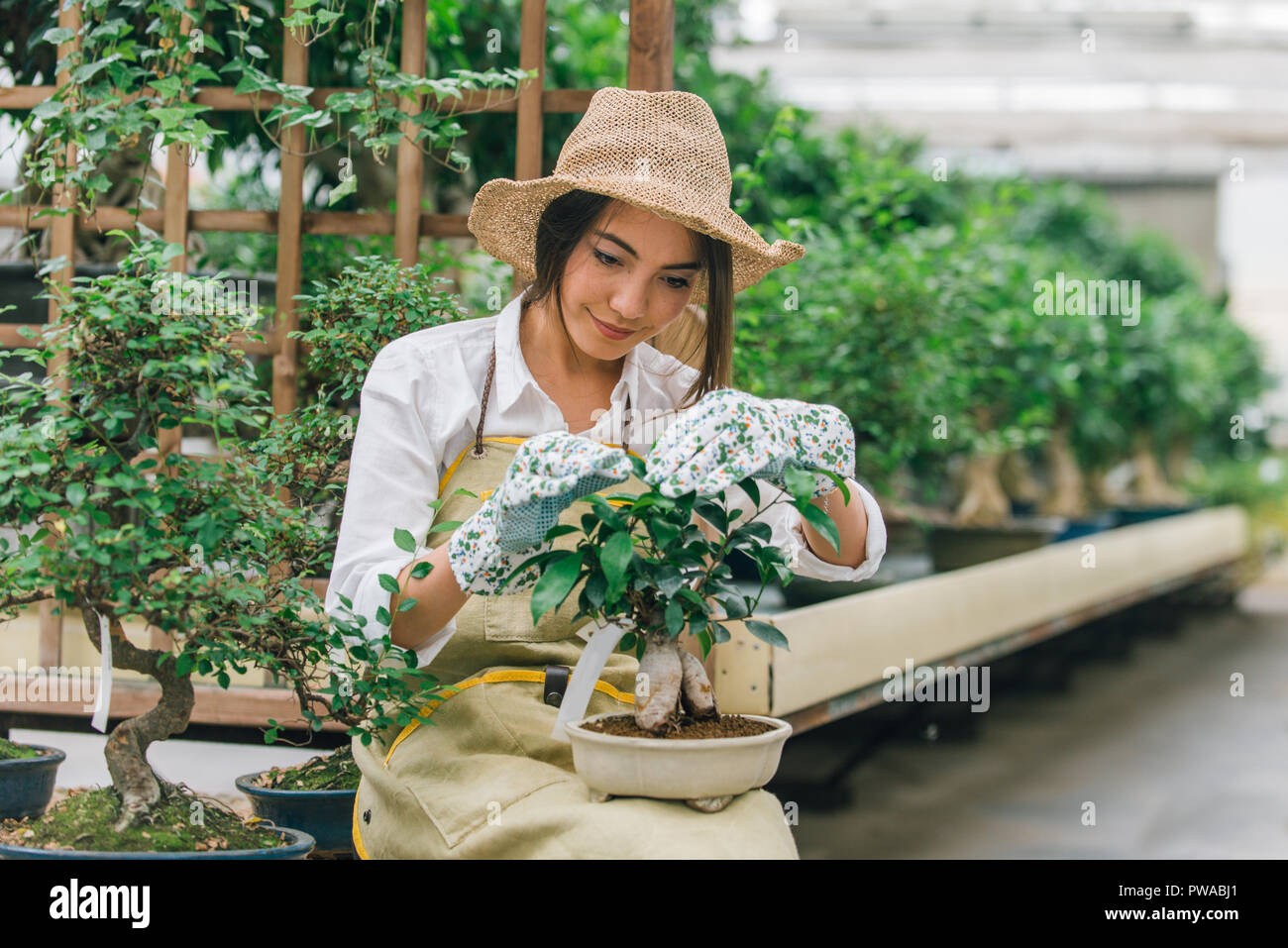 Pretty female gardener taking care of plants in her flowers and plants ...
