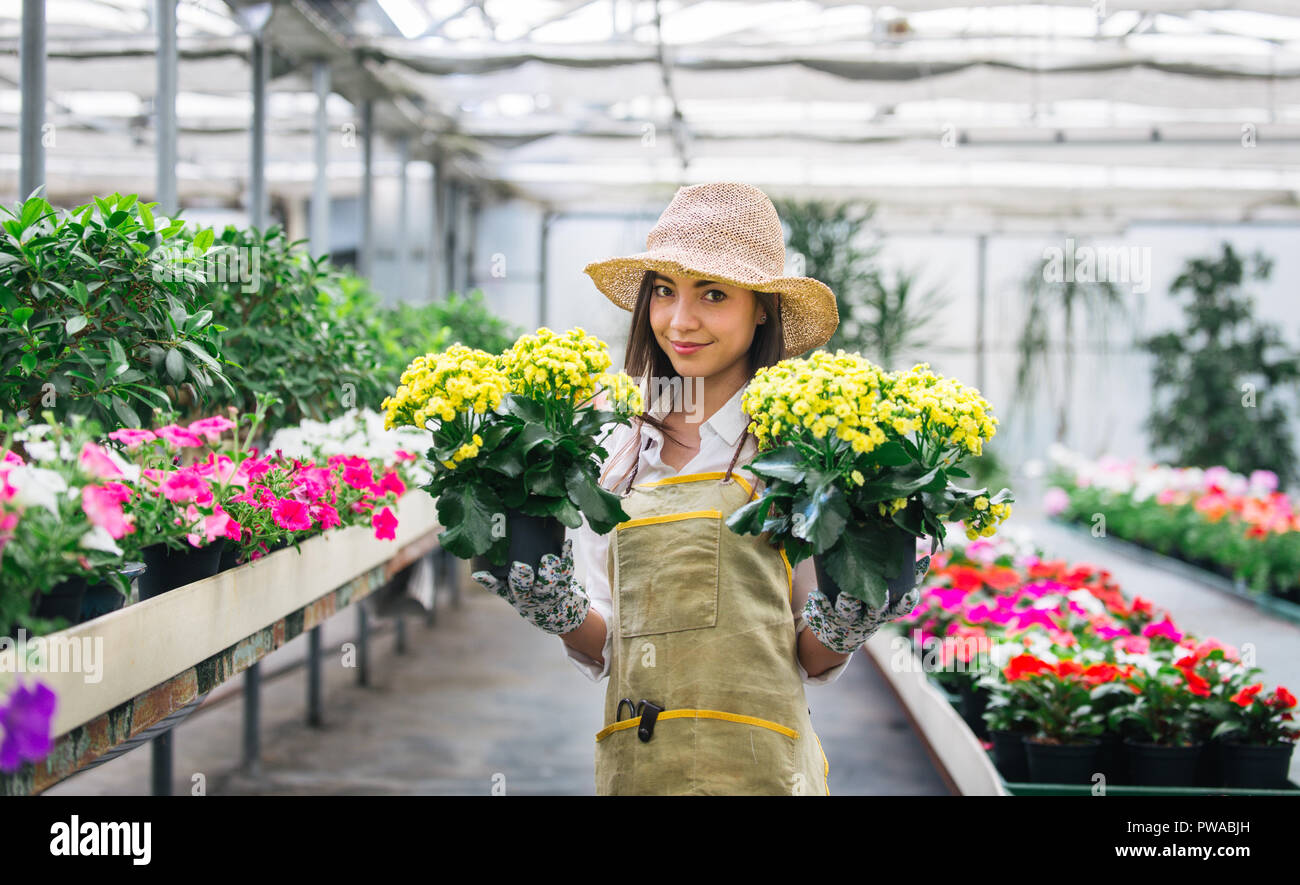 Pretty female gardener taking care of plants in her flowers and plants ...
