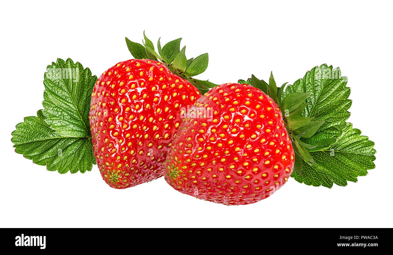 Strawberry isolated on white background Stock Photo - Alamy