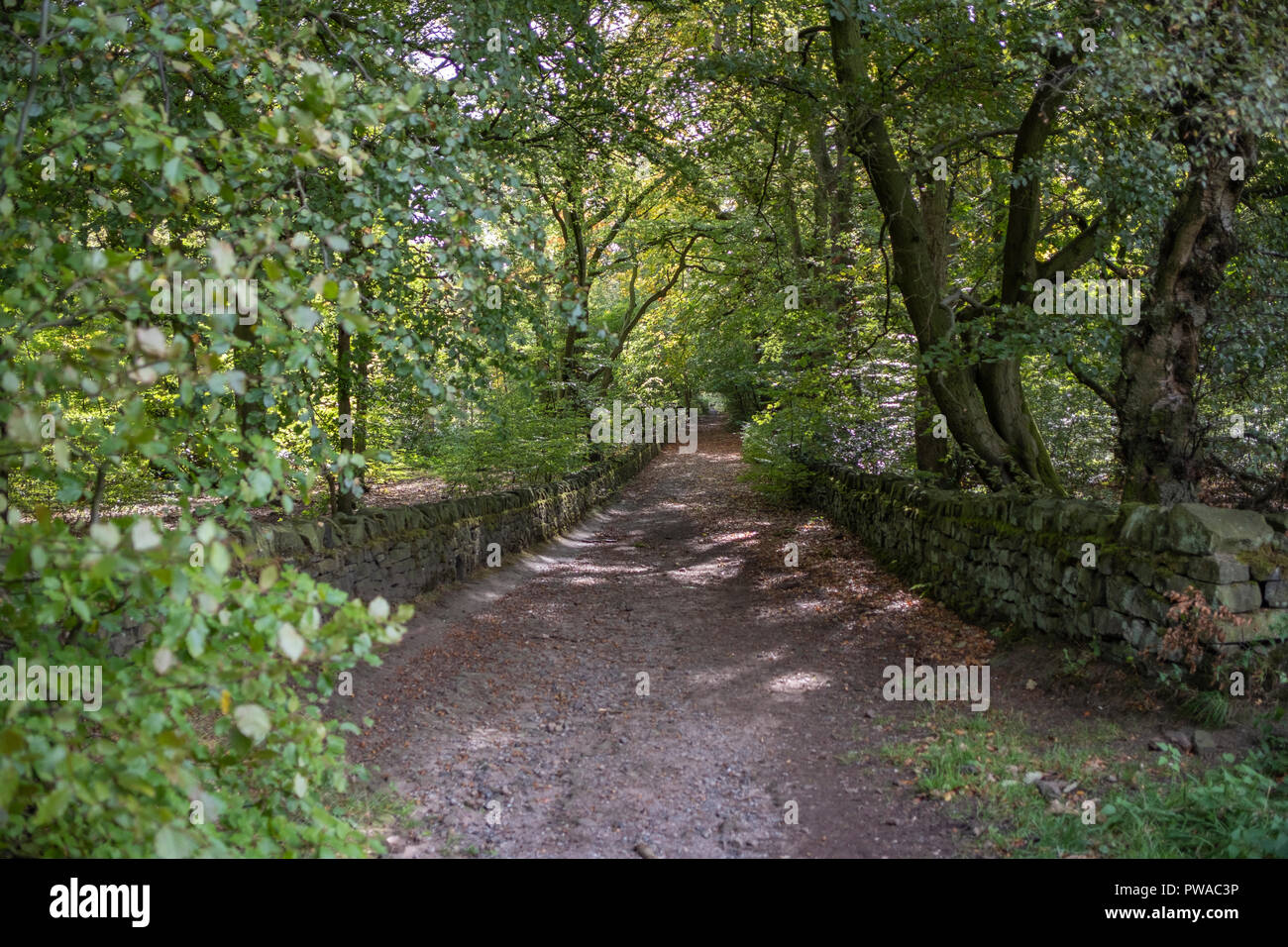 Autumnal scenes in Judy Woods, Wyke, Bradford, West Yorkshire, England ...