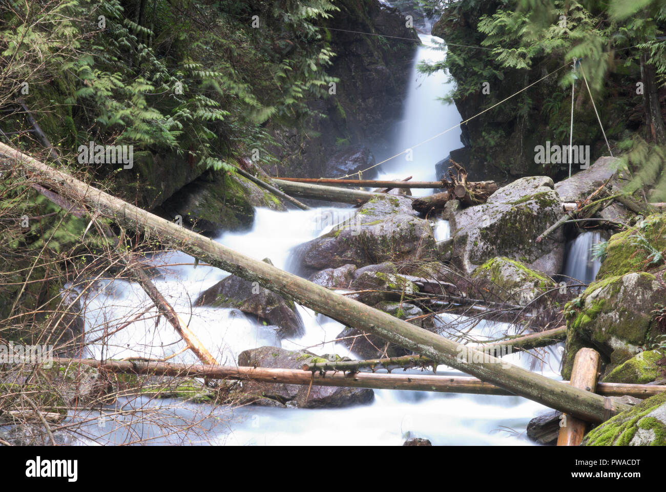 A creek tumbles over rocks in the forest at Stave Lake in Mission ...