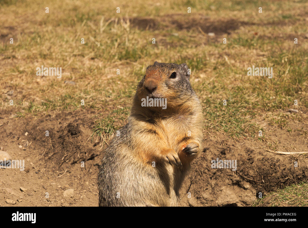 British columbia provincial parks hi-res stock photography and images ...