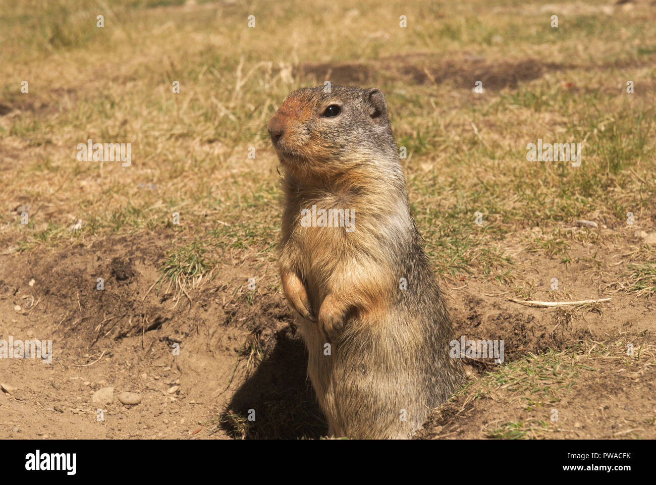 British columbia provincial parks hi-res stock photography and images ...