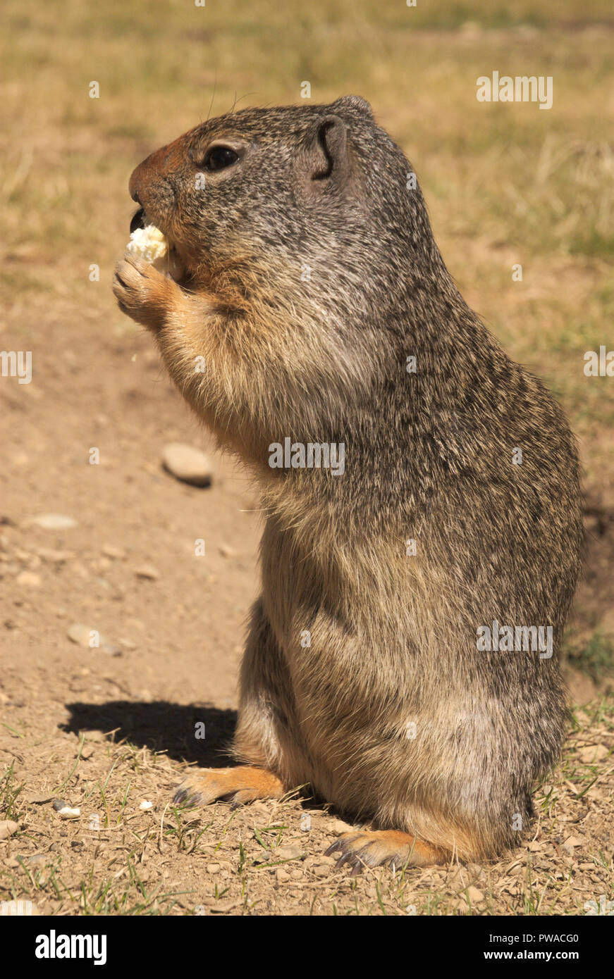 British columbia provincial parks hi-res stock photography and images ...