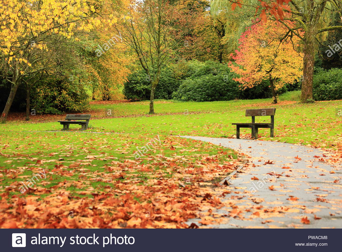 Cheetham Park High Resolution Stock Photography and Images - Alamy