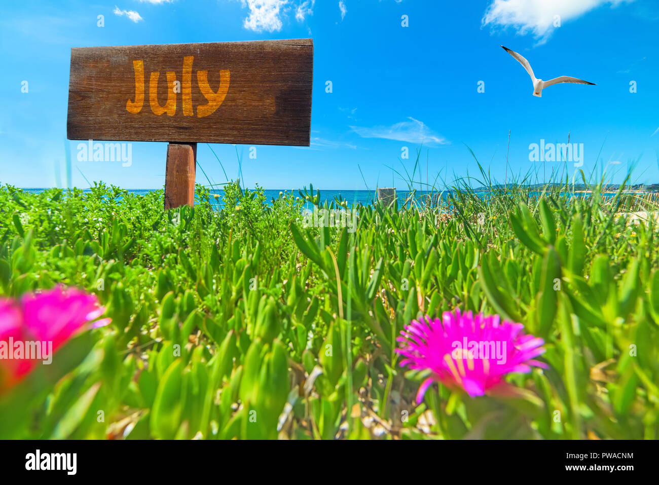 July month text written on hi-res stock photography and images - Alamy