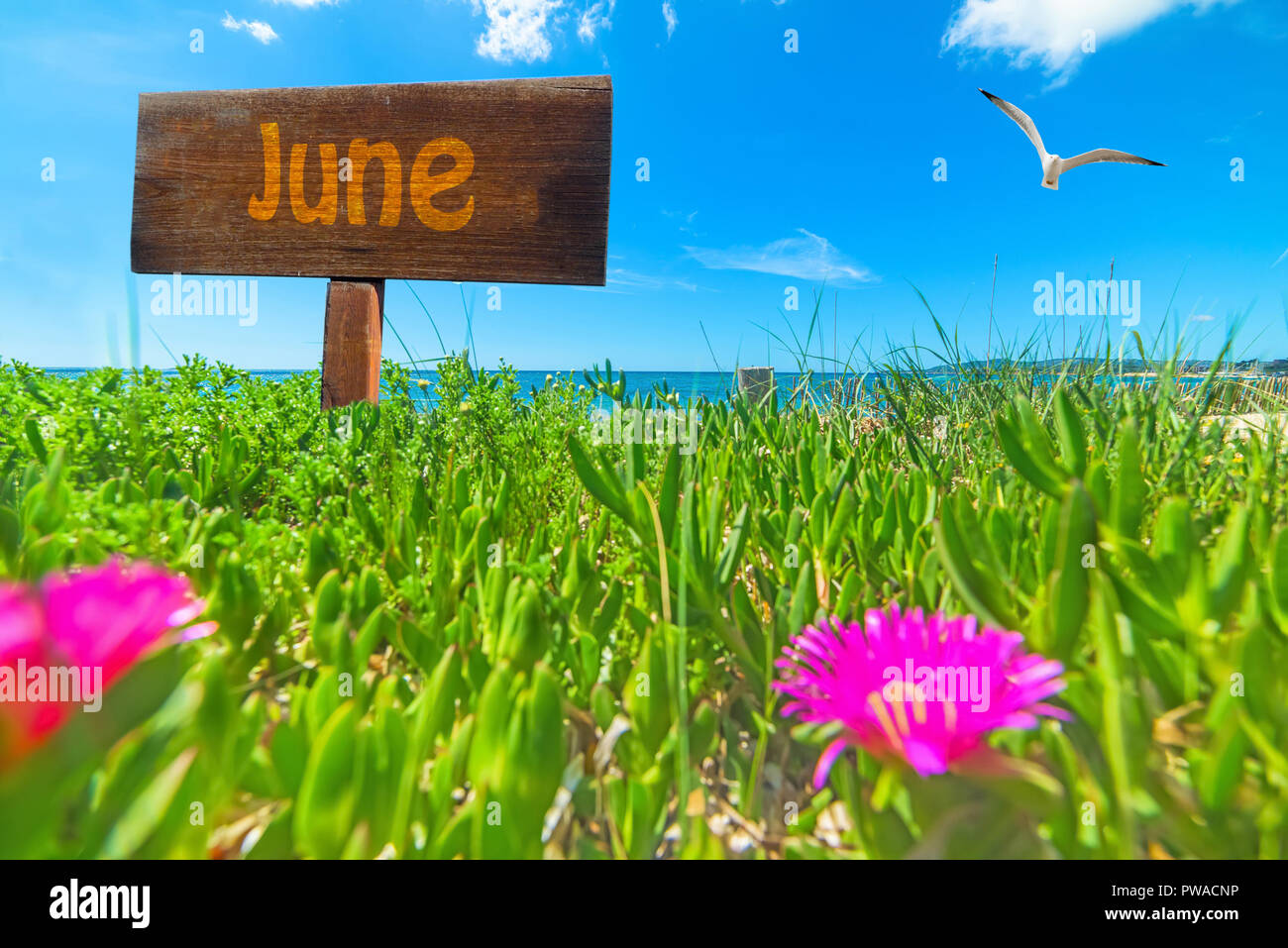 June month text written hi-res stock photography and images - Alamy