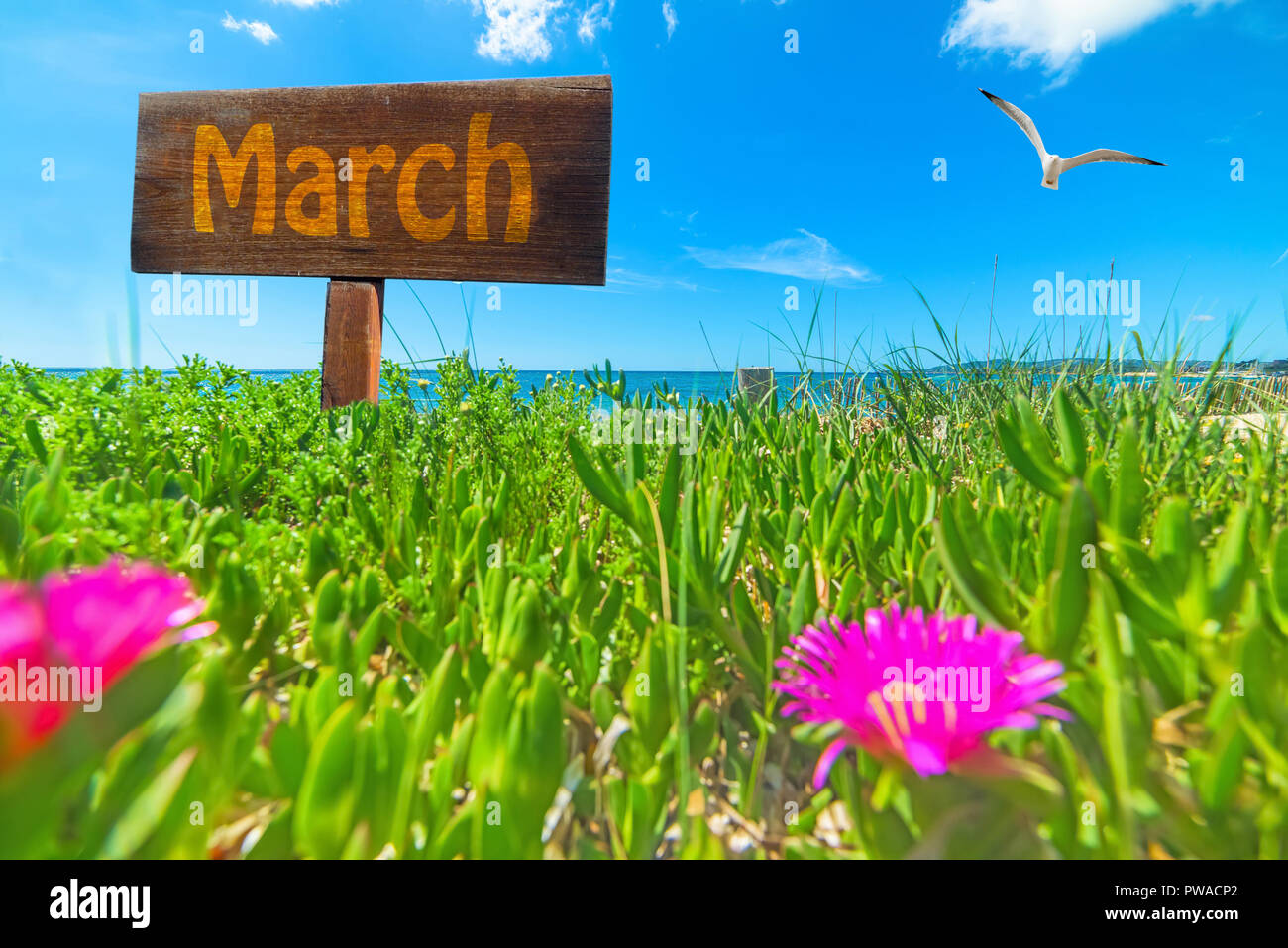March month text written hi-res stock photography and images - Alamy