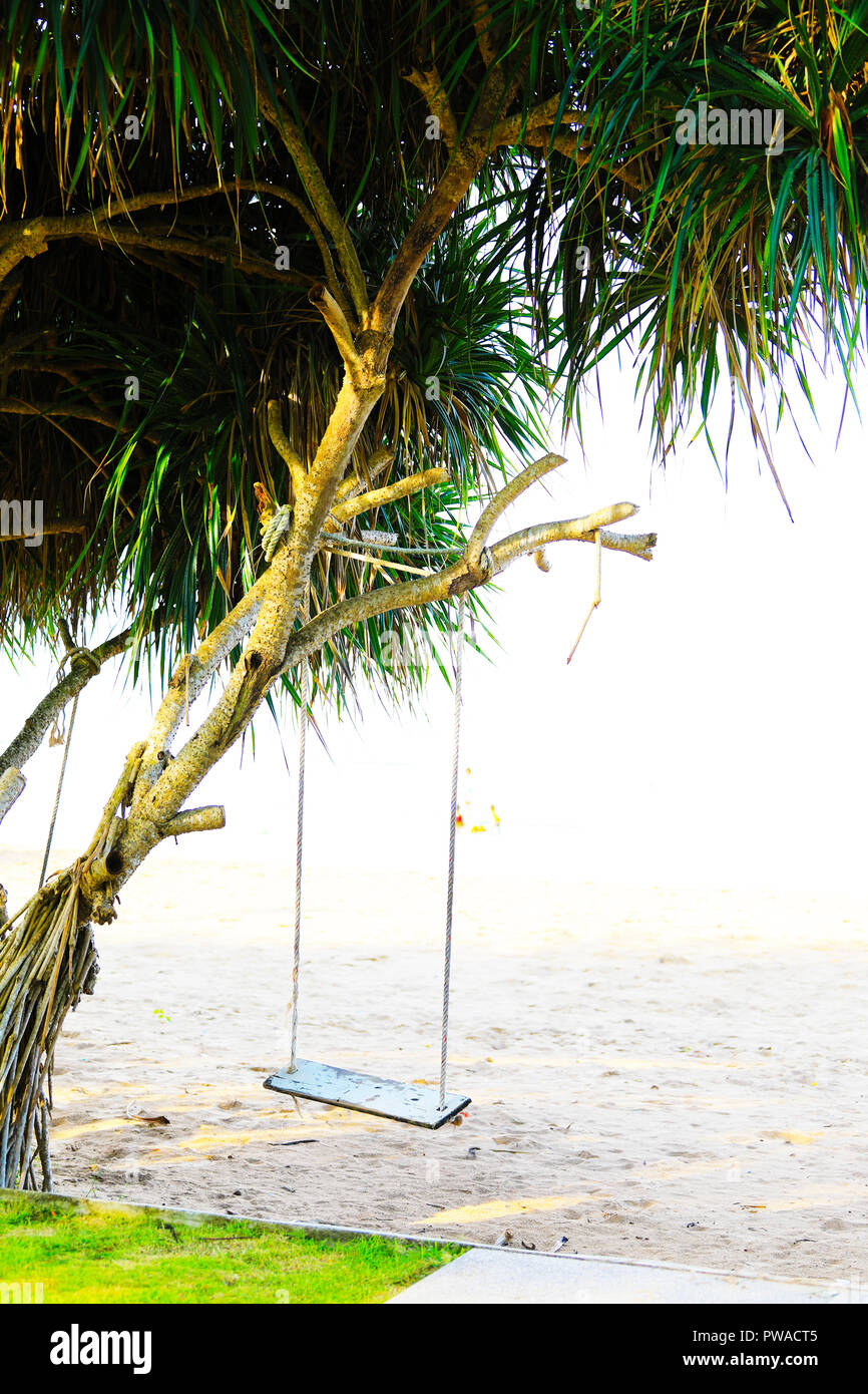wooden swing chair hanging on tree near beach, Thailand Stock Photo - Alamy