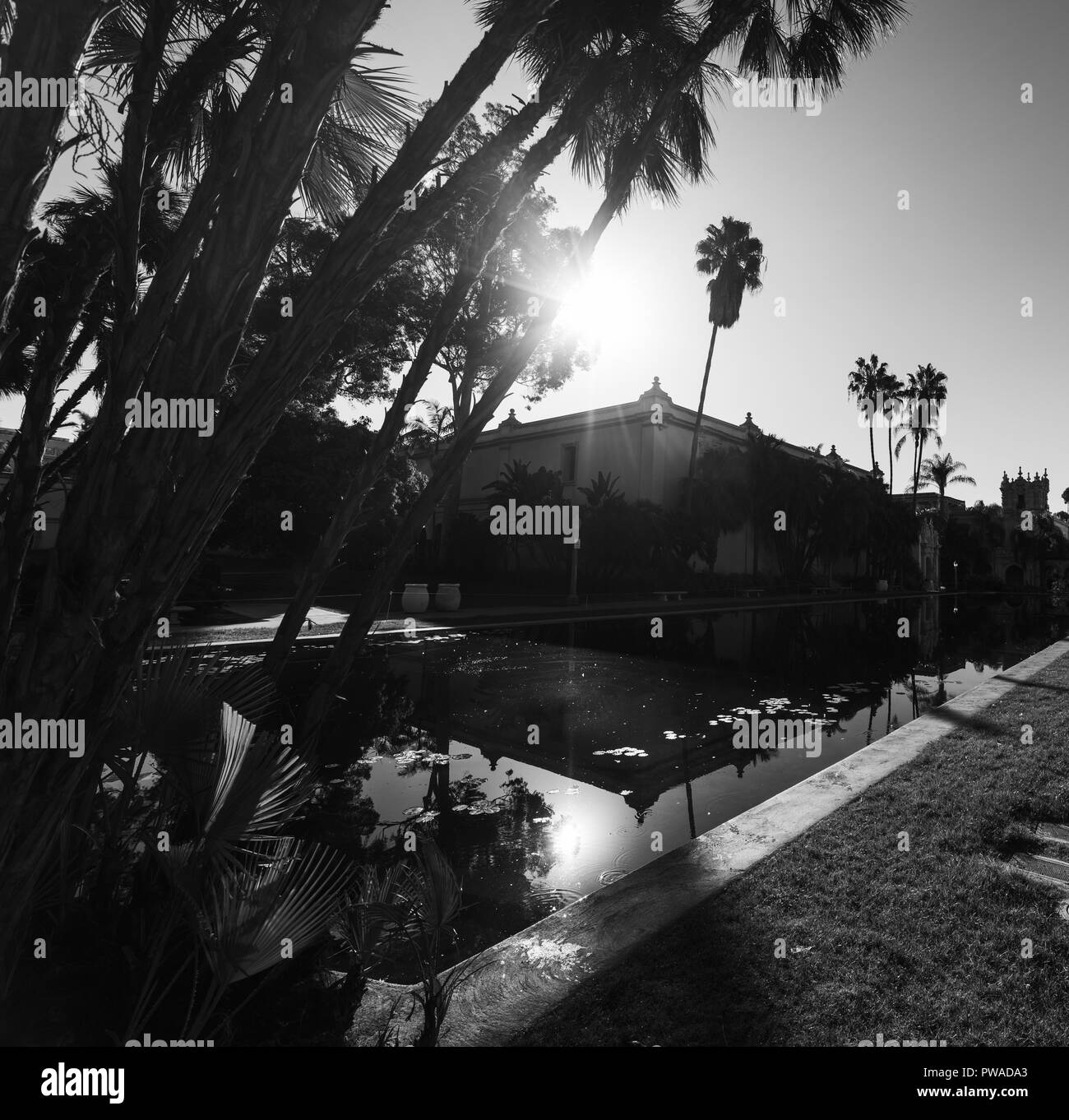 Pond plants trees in Black and White Stock Photos & Images - Alamy