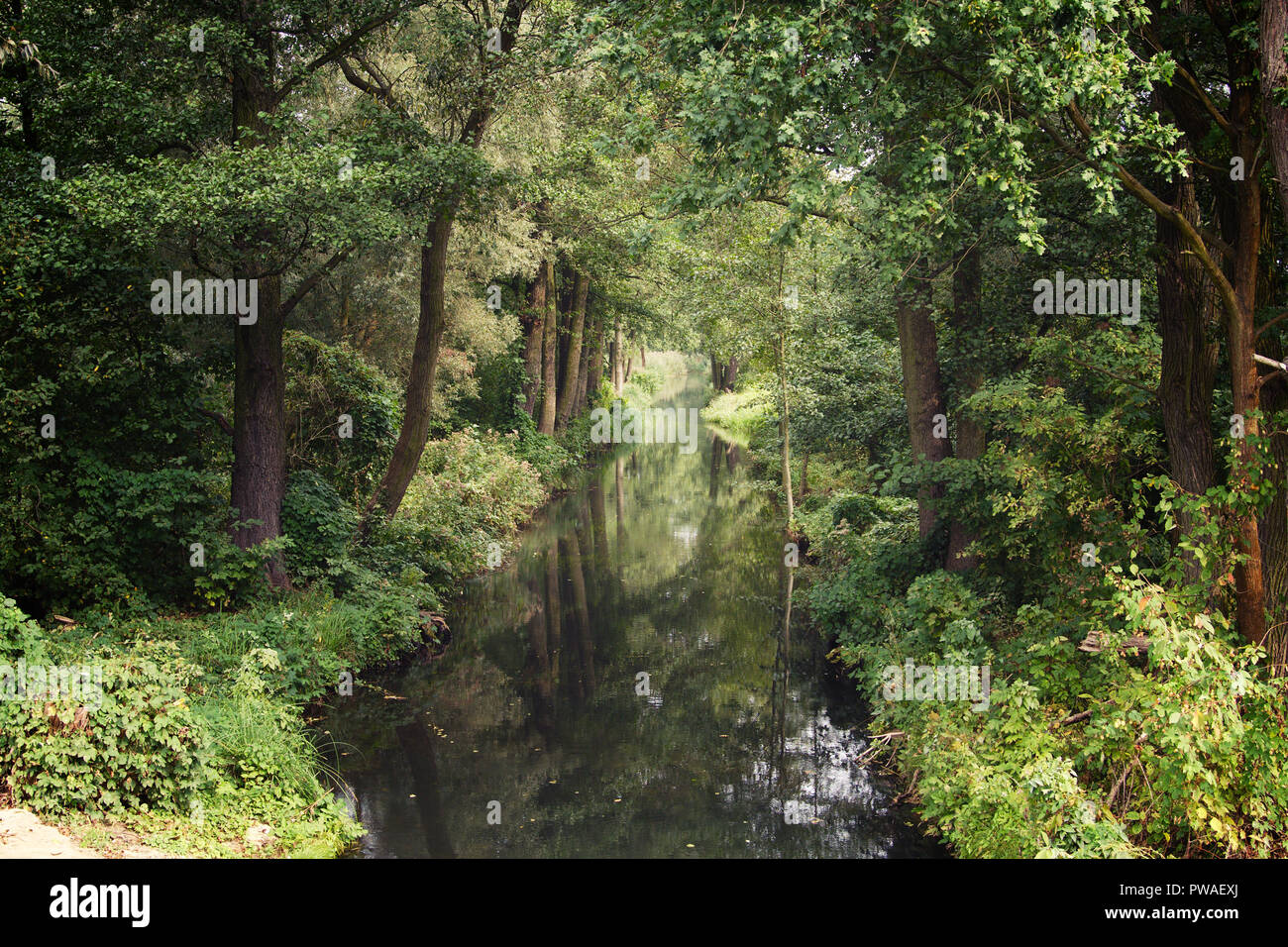A view on one of the canals in the Spreewald biosphere reserve Stock ...