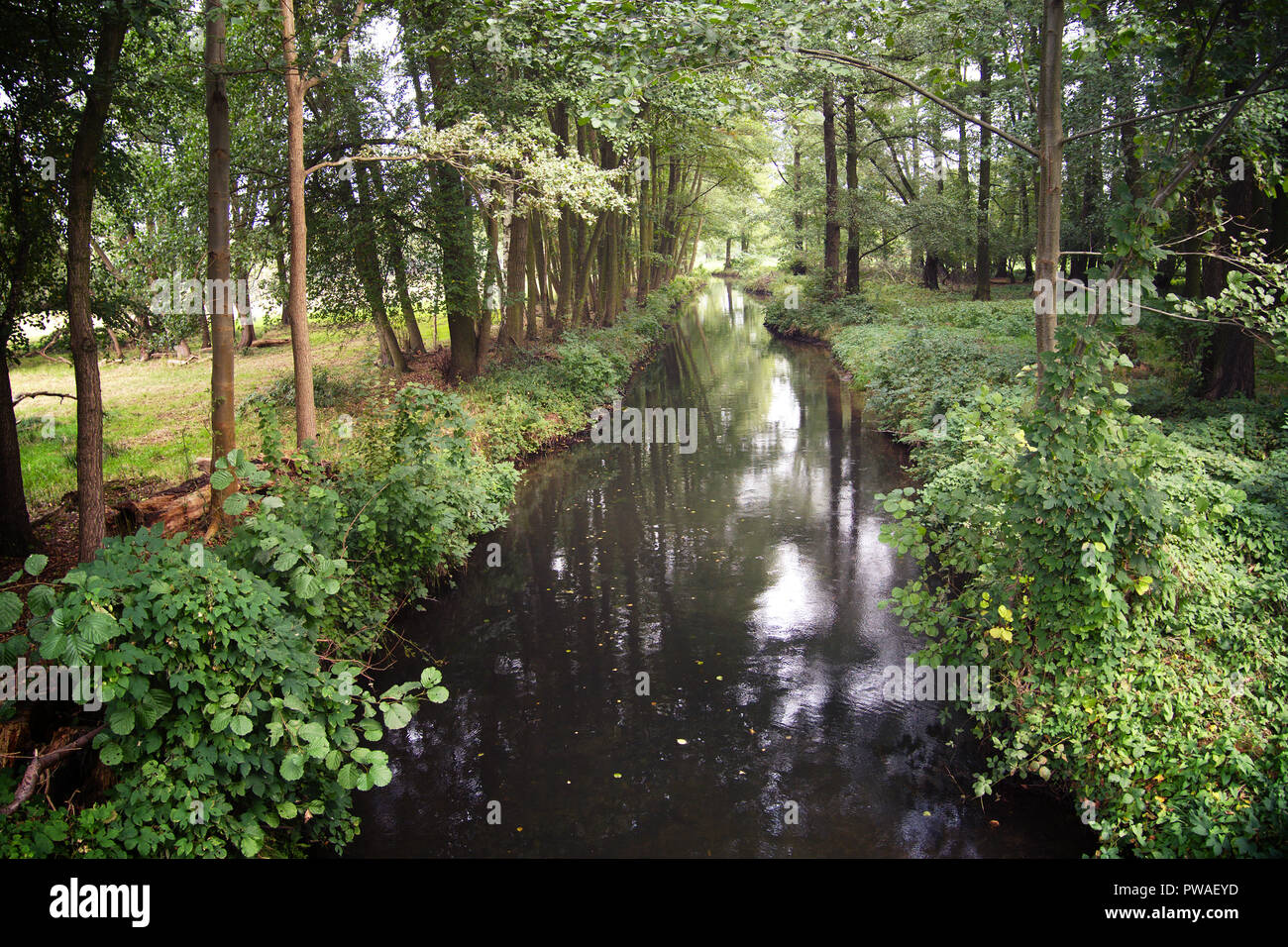 A view on one of the canals in the Spreewald biosphere reserve Stock ...