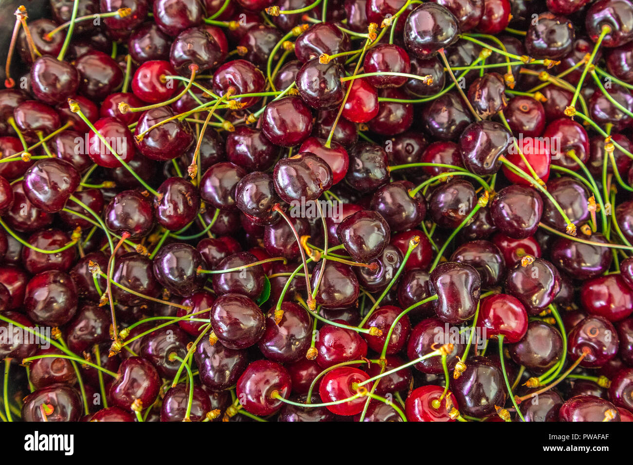 Black cherrys hi-res stock photography and images - Alamy