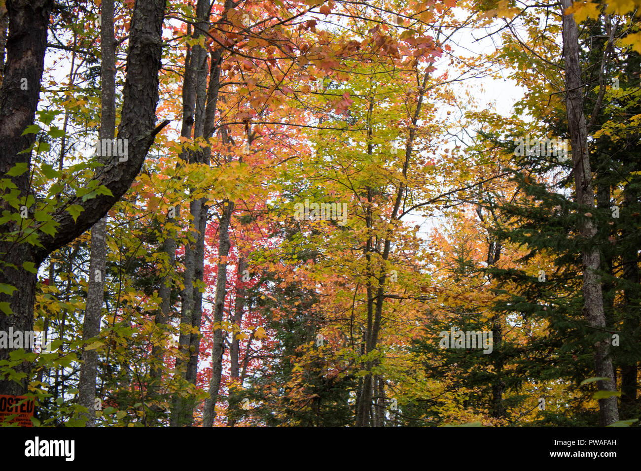Adirondack mountain reserve hi-res stock photography and images - Alamy