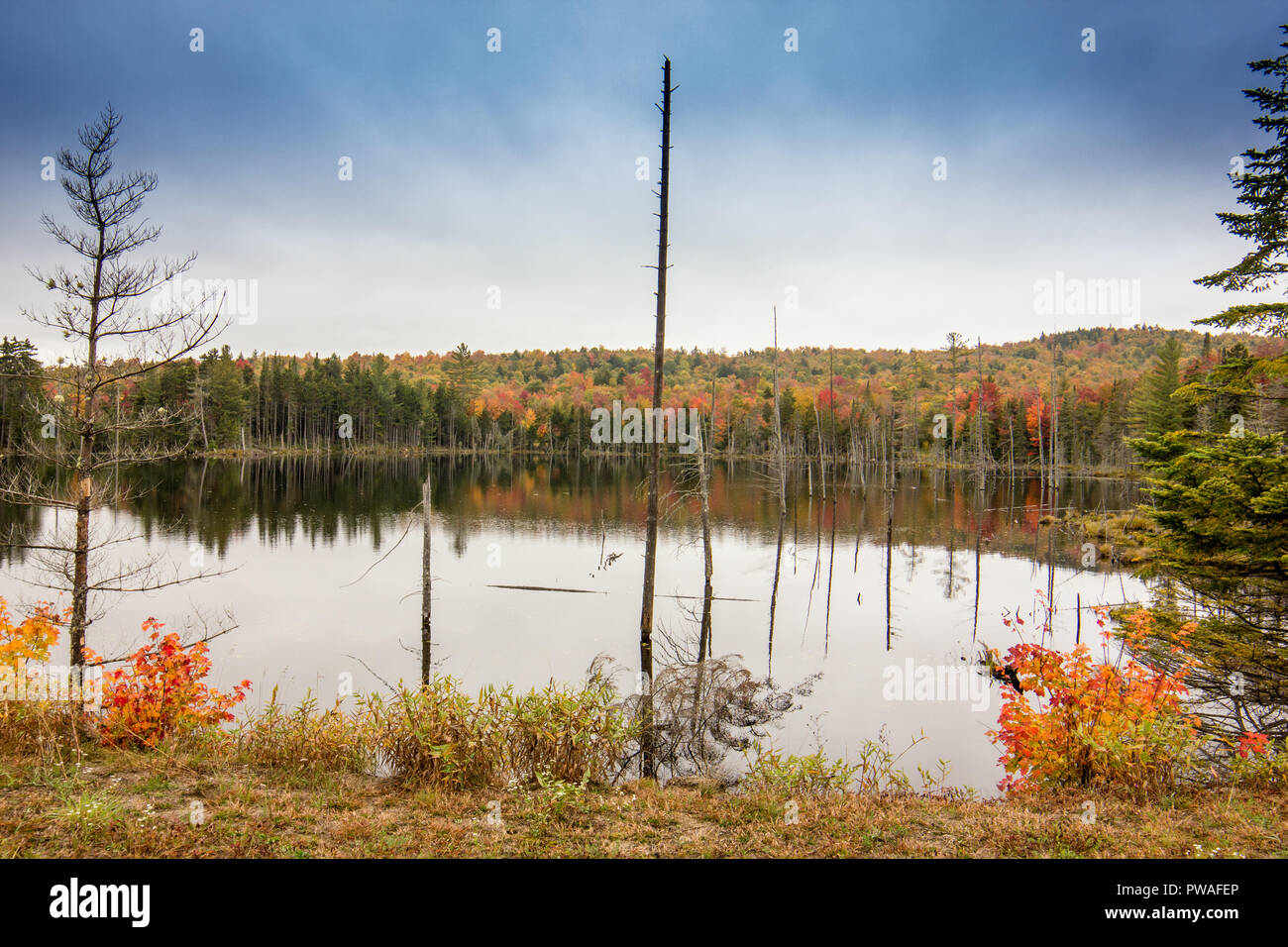 Champlain lake tour hi-res stock photography and images - Alamy