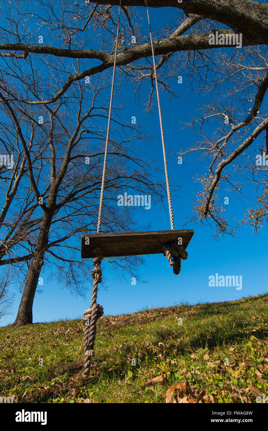 Rope swing on hilltop Stock Photo - Alamy