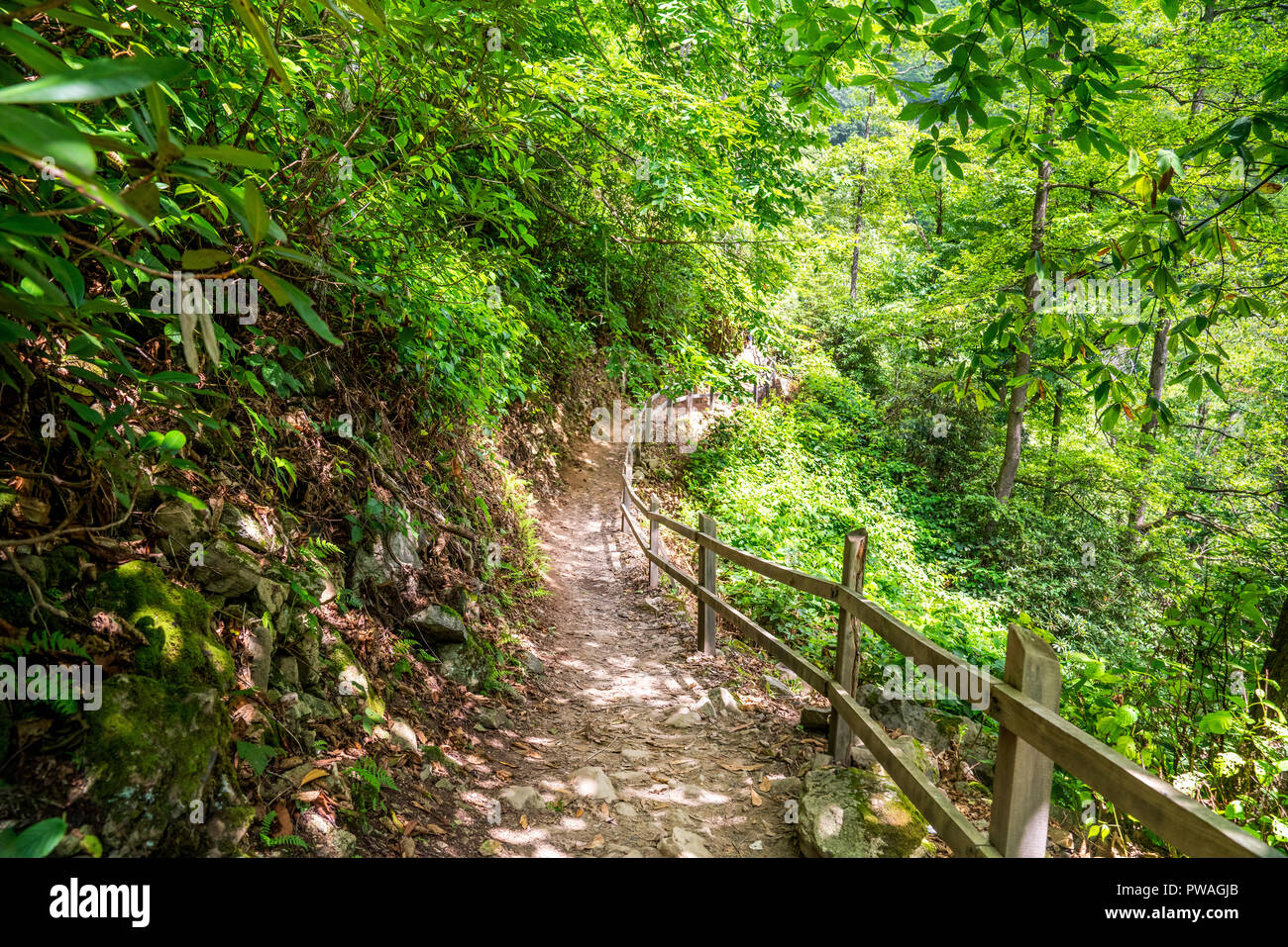 Mythical spring hi-res stock photography and images - Alamy