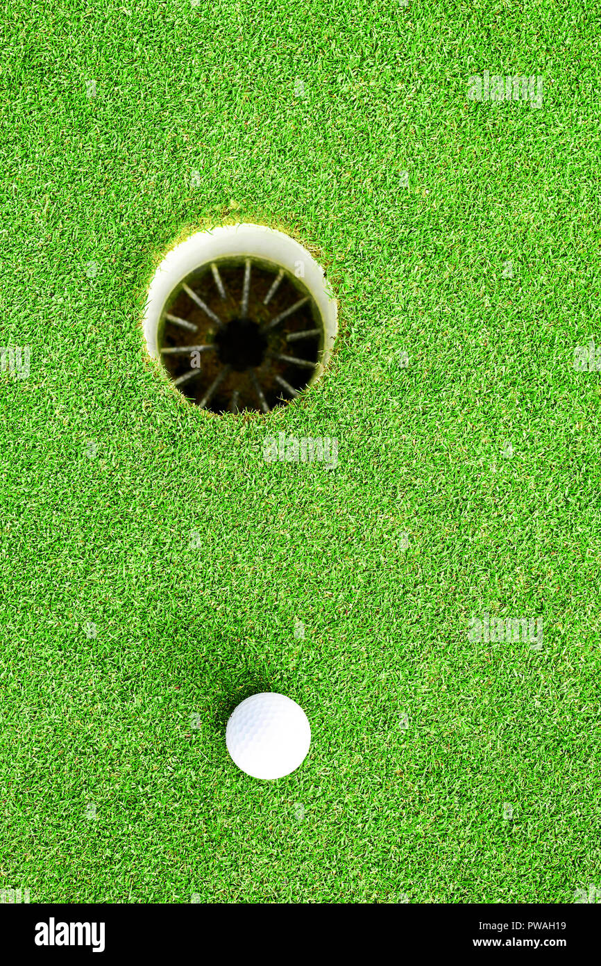 Overview of play area with golf ball on green lawn and the hole in ...