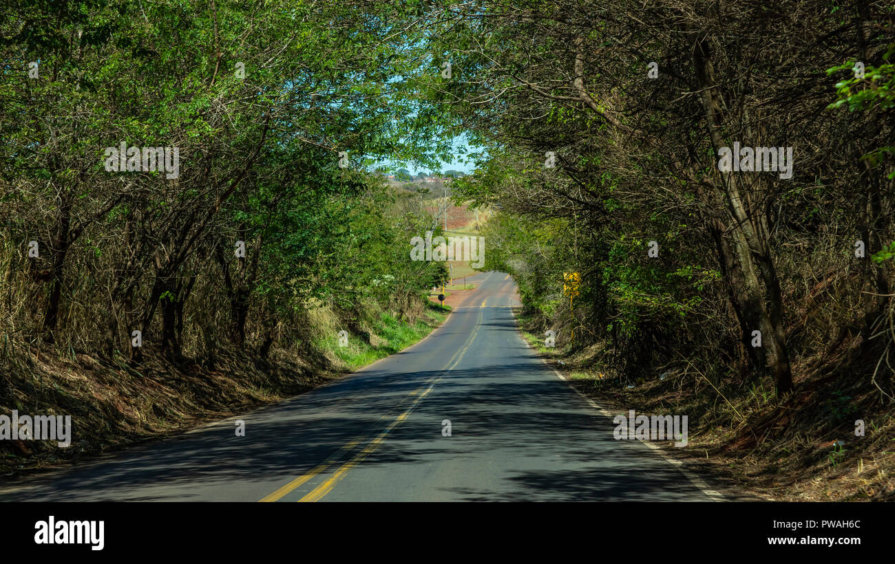 Road between trees. Road full of trees. Brazil South America Stock ...
