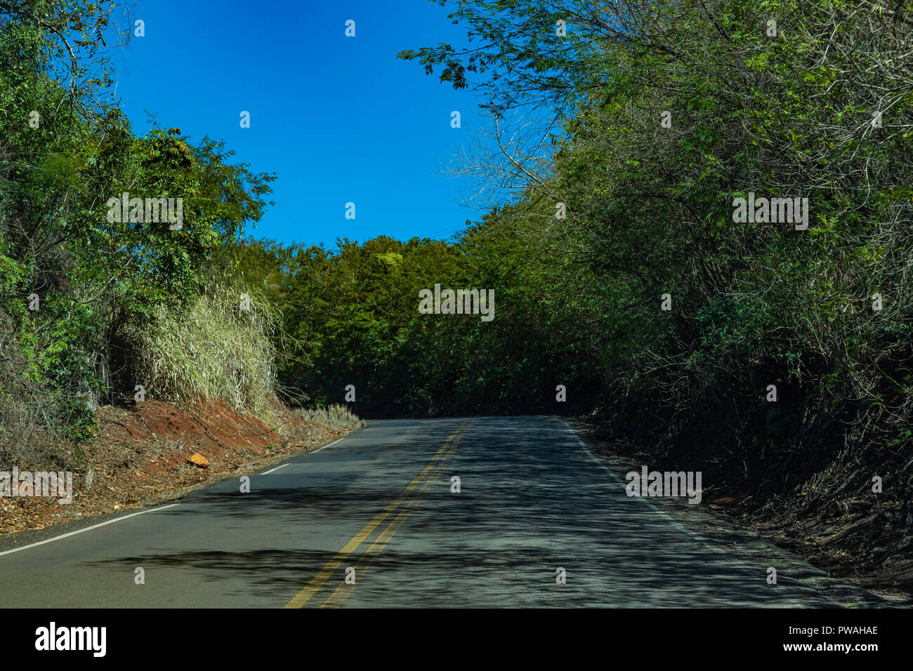 Roads among trees hi-res stock photography and images - Alamy