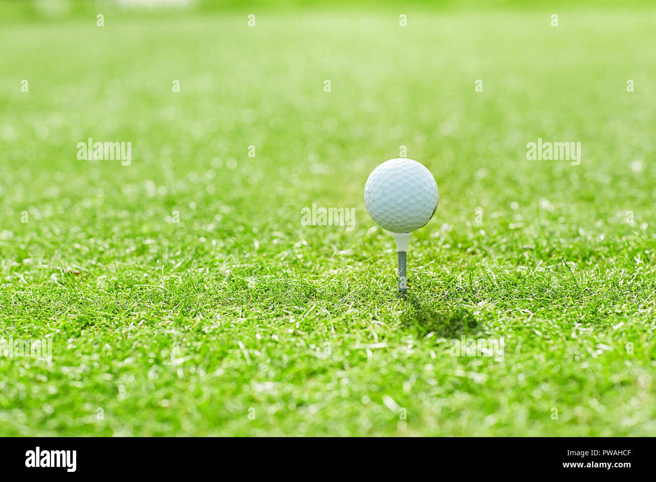 Golf ball on tee in the middle of green play field on sunny weekend ...