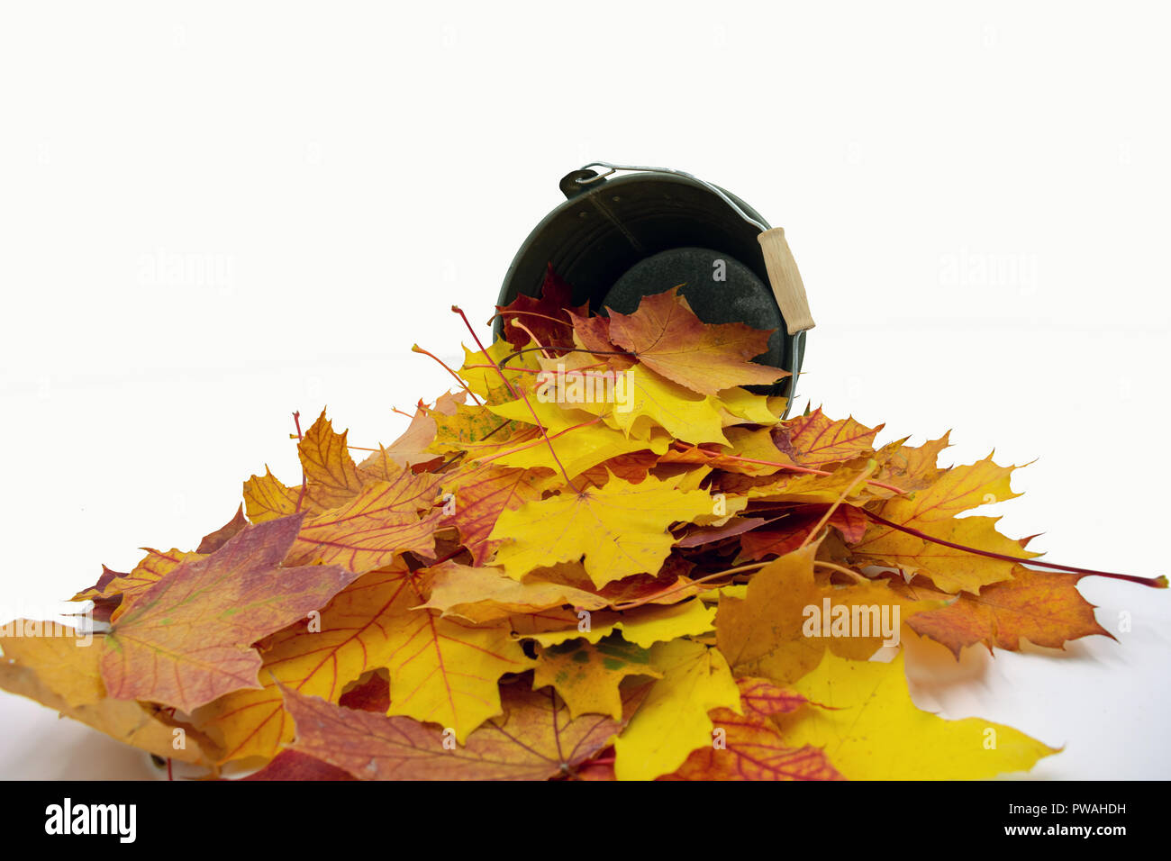 Small bucket hi-res stock photography and images - Alamy