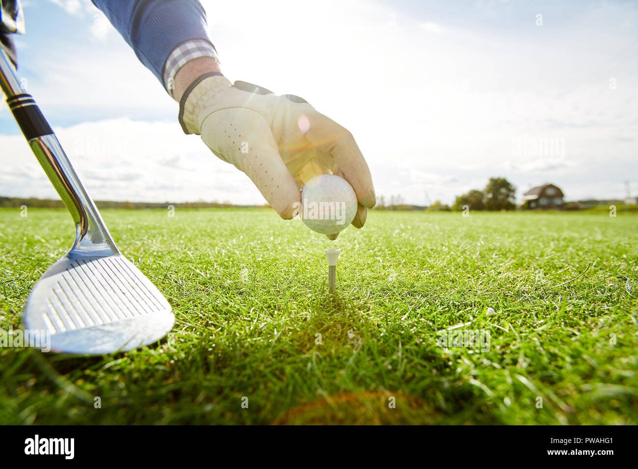 Golf player with club putting ball on tee before start of game on green ...