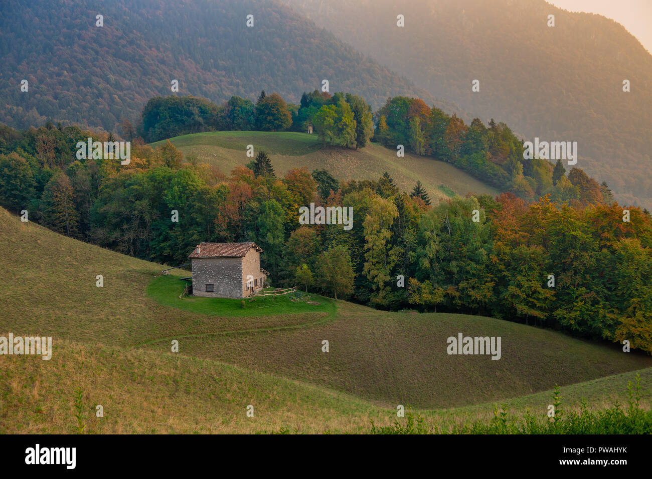 Farmhouse surrounded by trees hi-res stock photography and images - Alamy