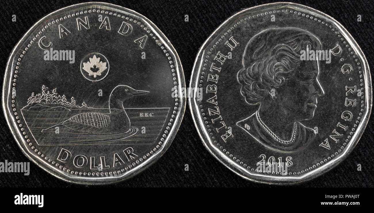 1 dollar coin, Common loon, Canada, 2018 Stock Photo - Alamy
