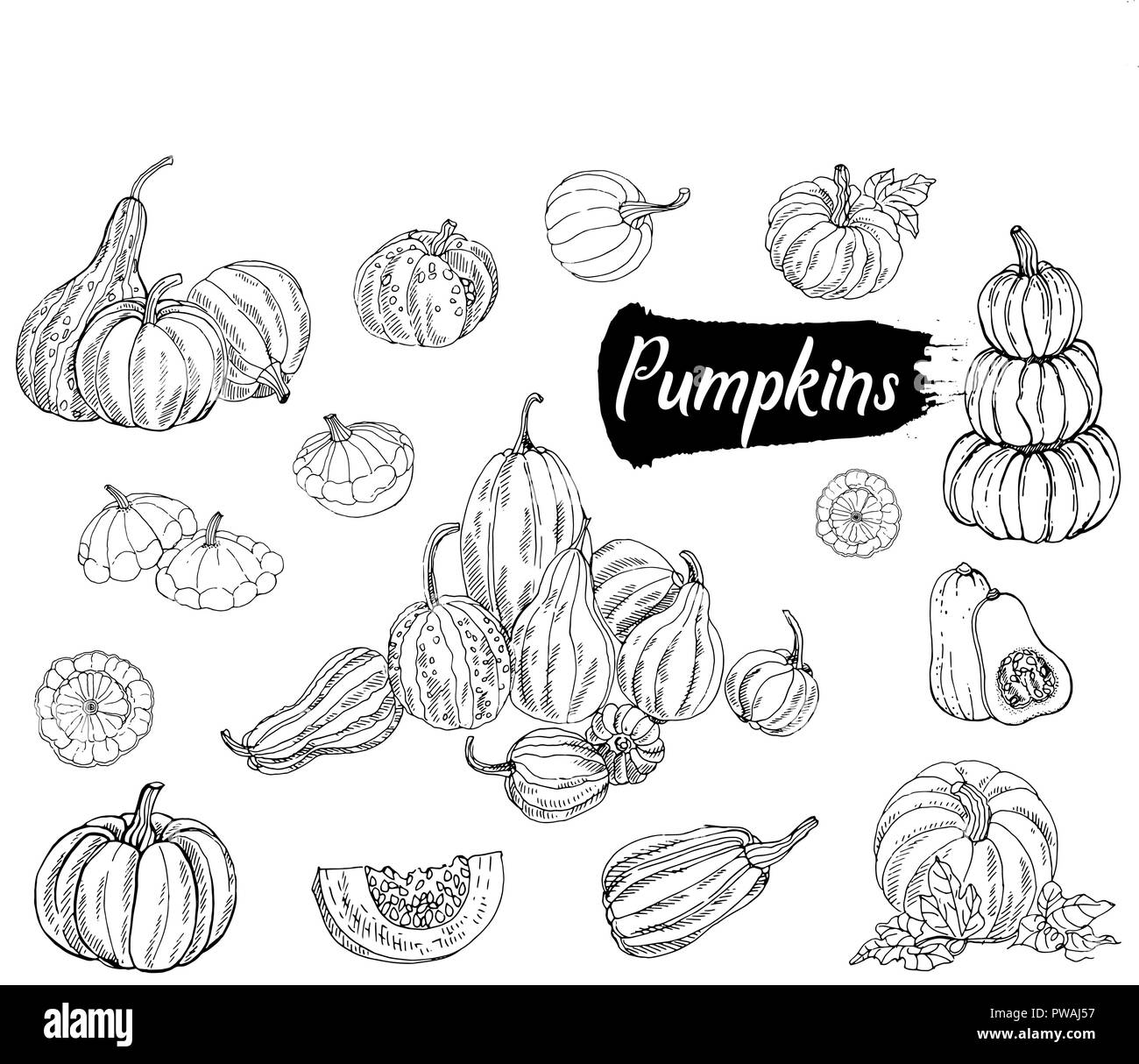 Set of hand drawn sketch style pumpkins isolated on white background ...