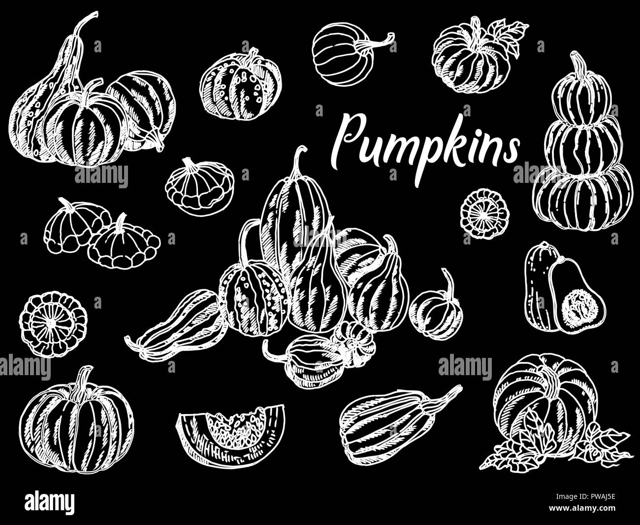 Set of hand drawn sketch style pumpkins isolated on black background ...