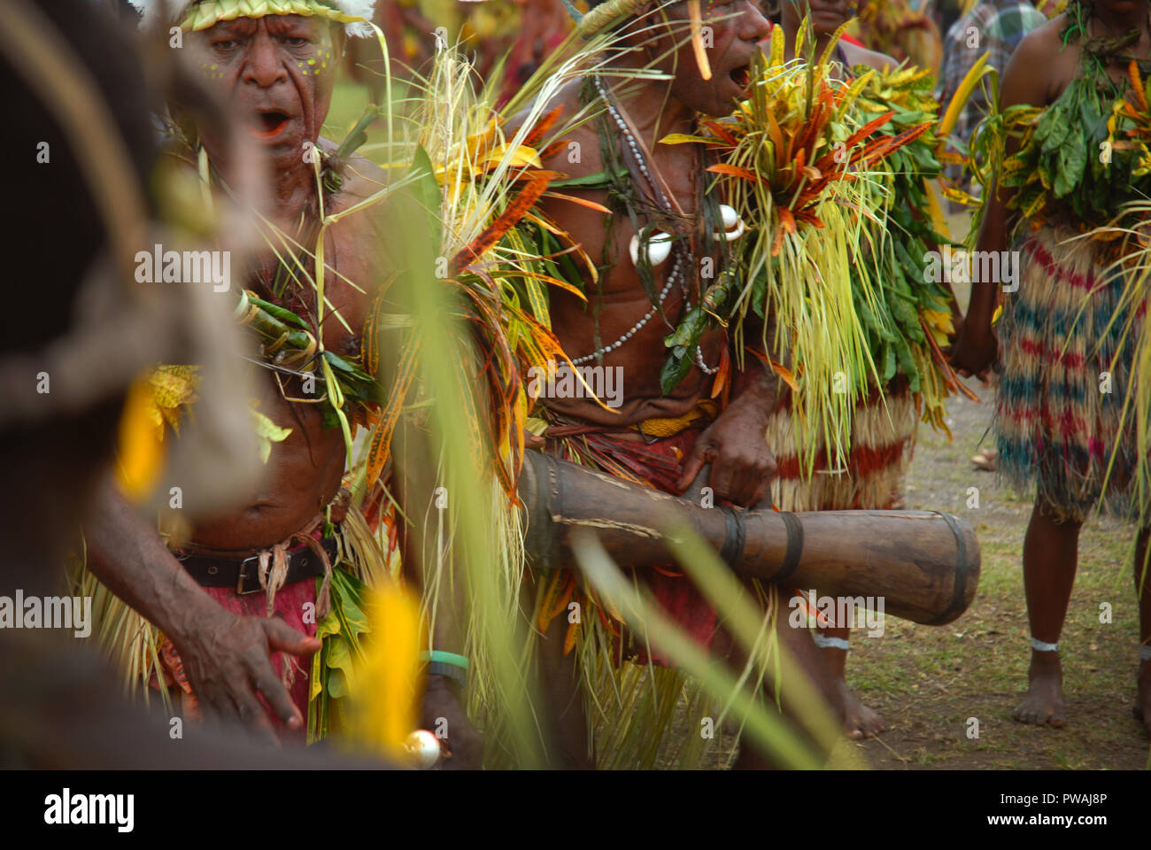 Old man with drum dancing as part of a Sing Sing in Madang, Papua New ...