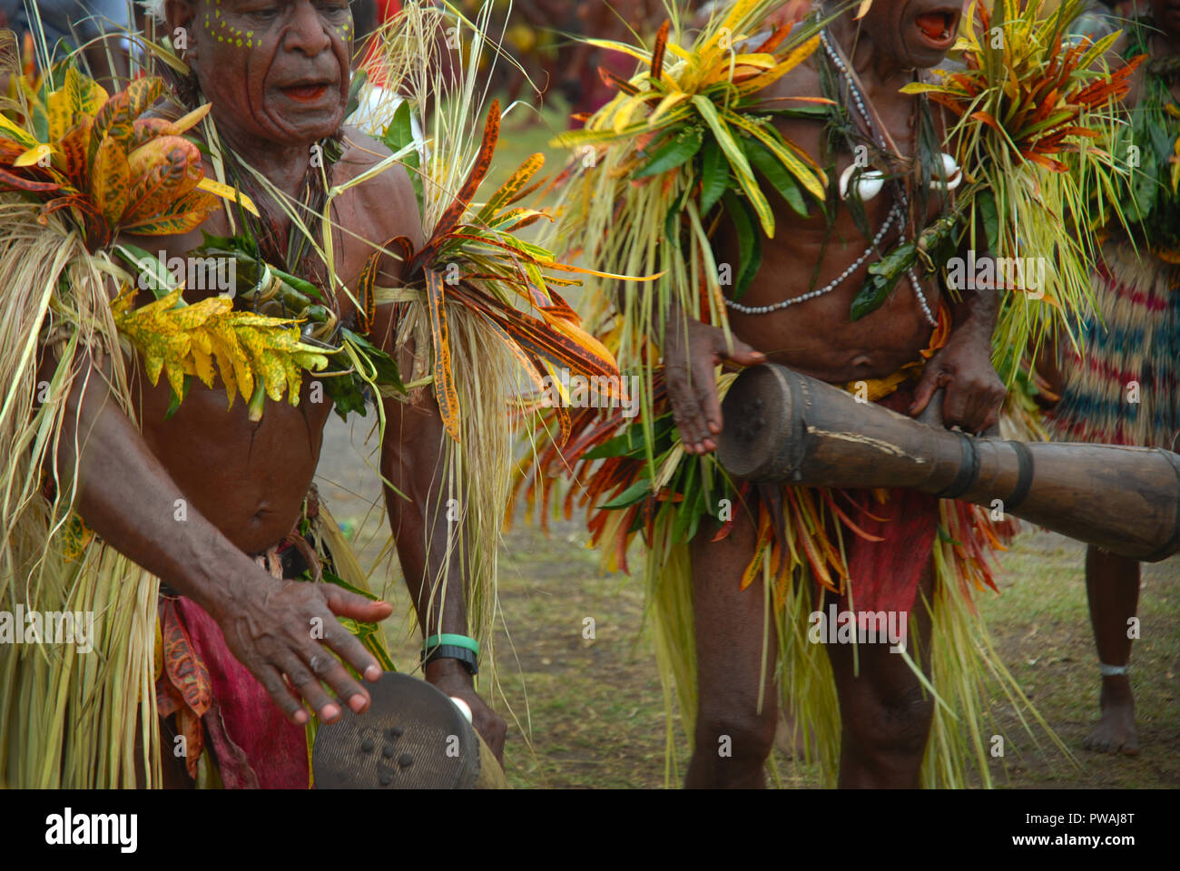 Old man with drum dancing as part of a Sing Sing in Madang, Papua New ...