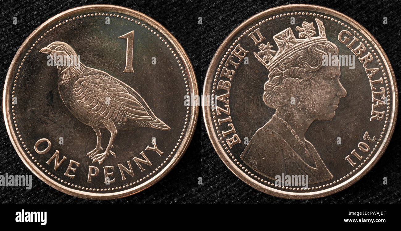 1 penny coin, Barbary partridge, Gibraltar, 2011 Stock Photo - Alamy