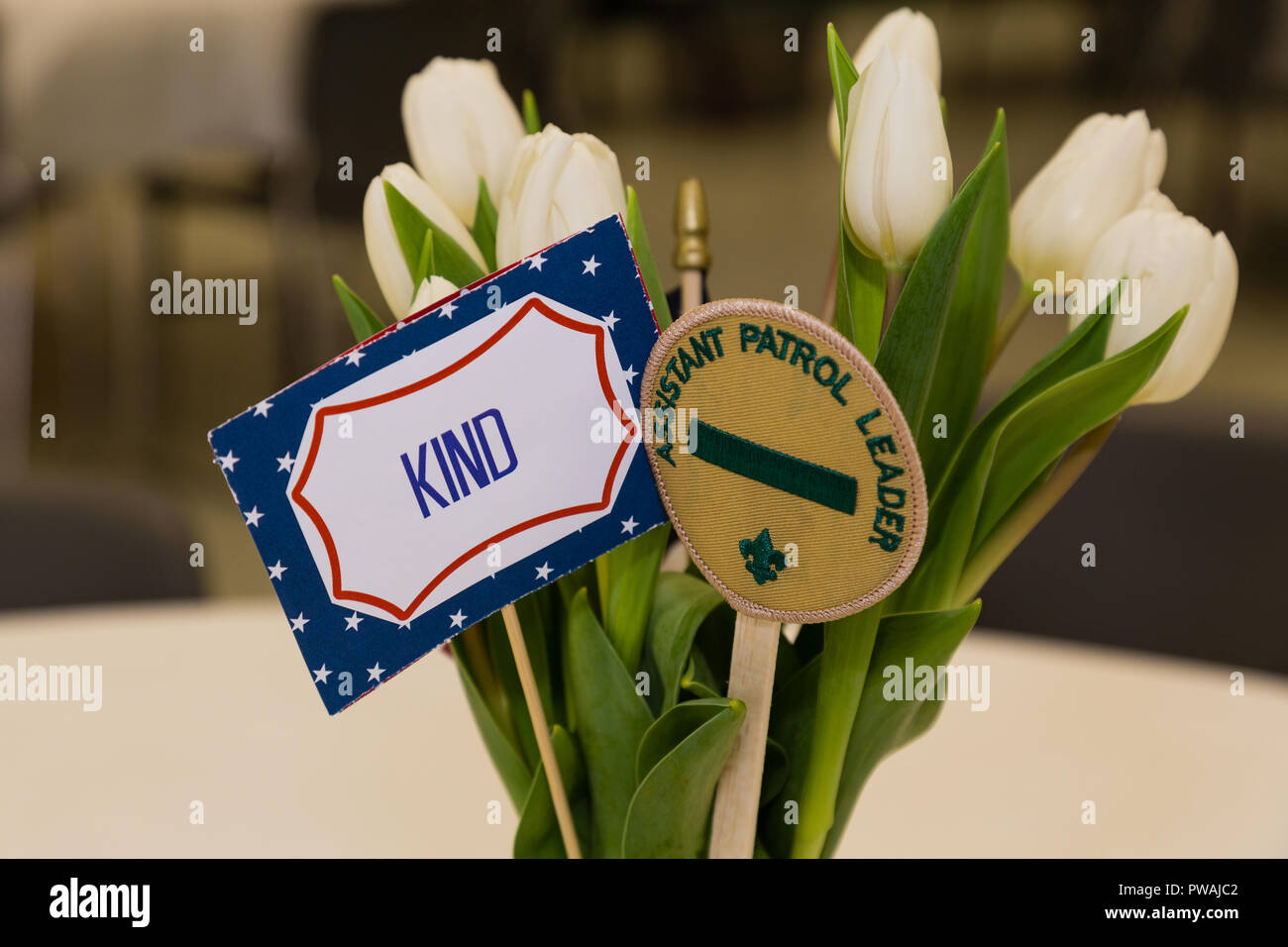 Scout patrol hi-res stock photography and images - Alamy