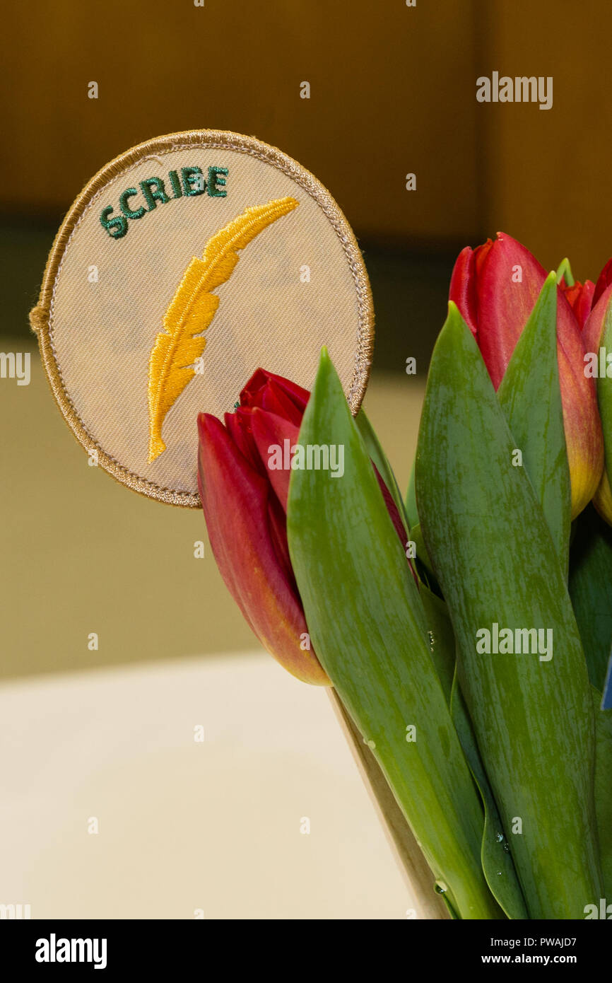 Boy scout patch hi-res stock photography and images - Alamy