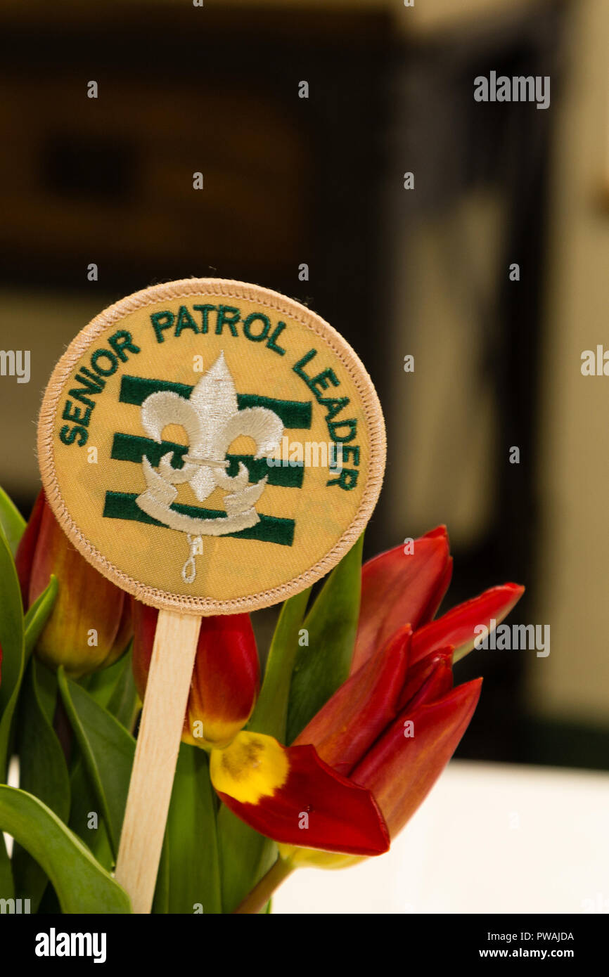 Senior Patrol Leader patch and flowers with space for text Stock Photo ...