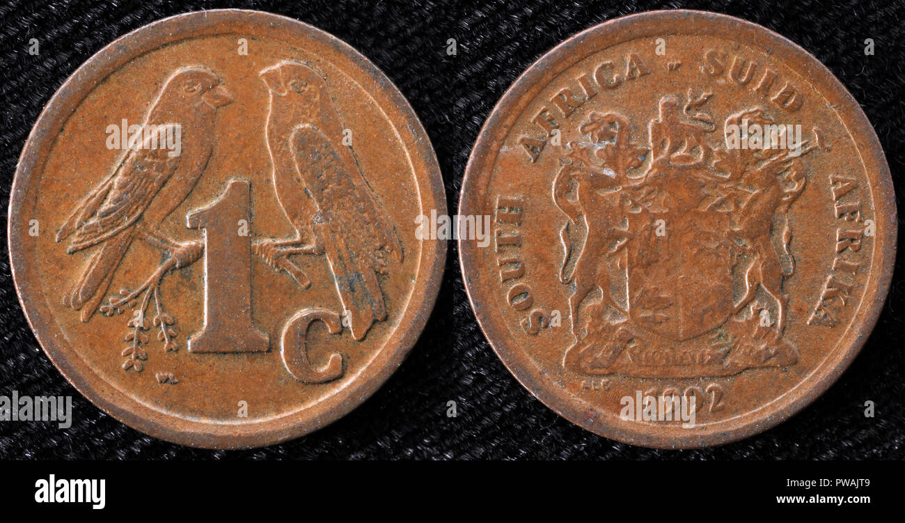 1 cent coin, Cape sparrow, Passer melanurus, mossie, Republic of South ...