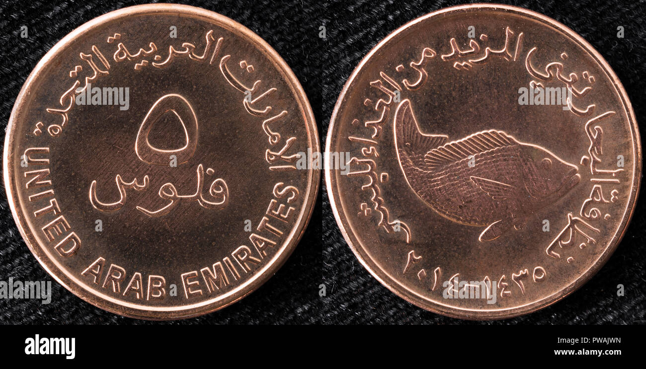 5 fils coin, United Arab Emirates, 2014 Stock Photo - Alamy