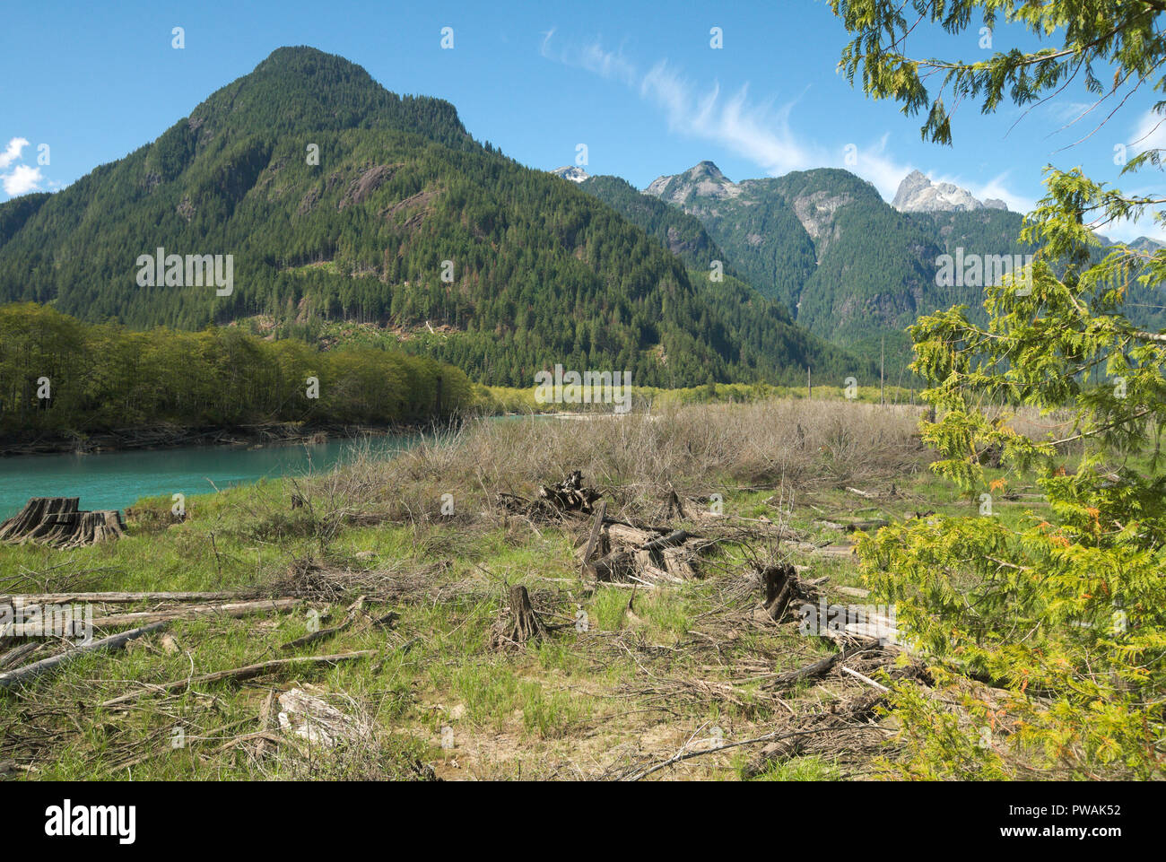 A meadow on the river at the north end of Stave Lake in Mission ...
