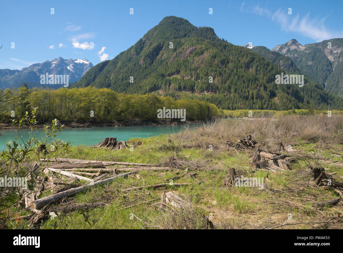 A meadow on the river at the north end of Stave Lake in Mission ...