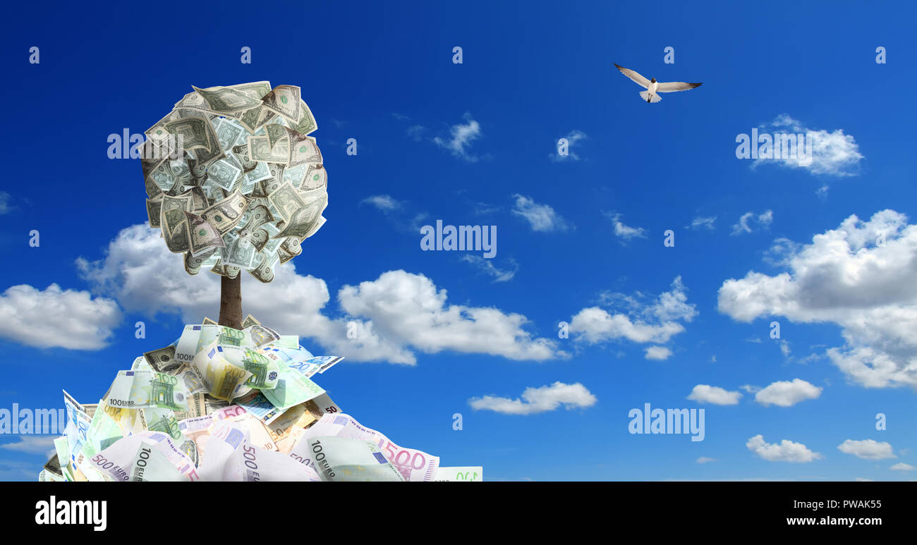 conceptual image of money tree in money pile over sunny blue sky with ...