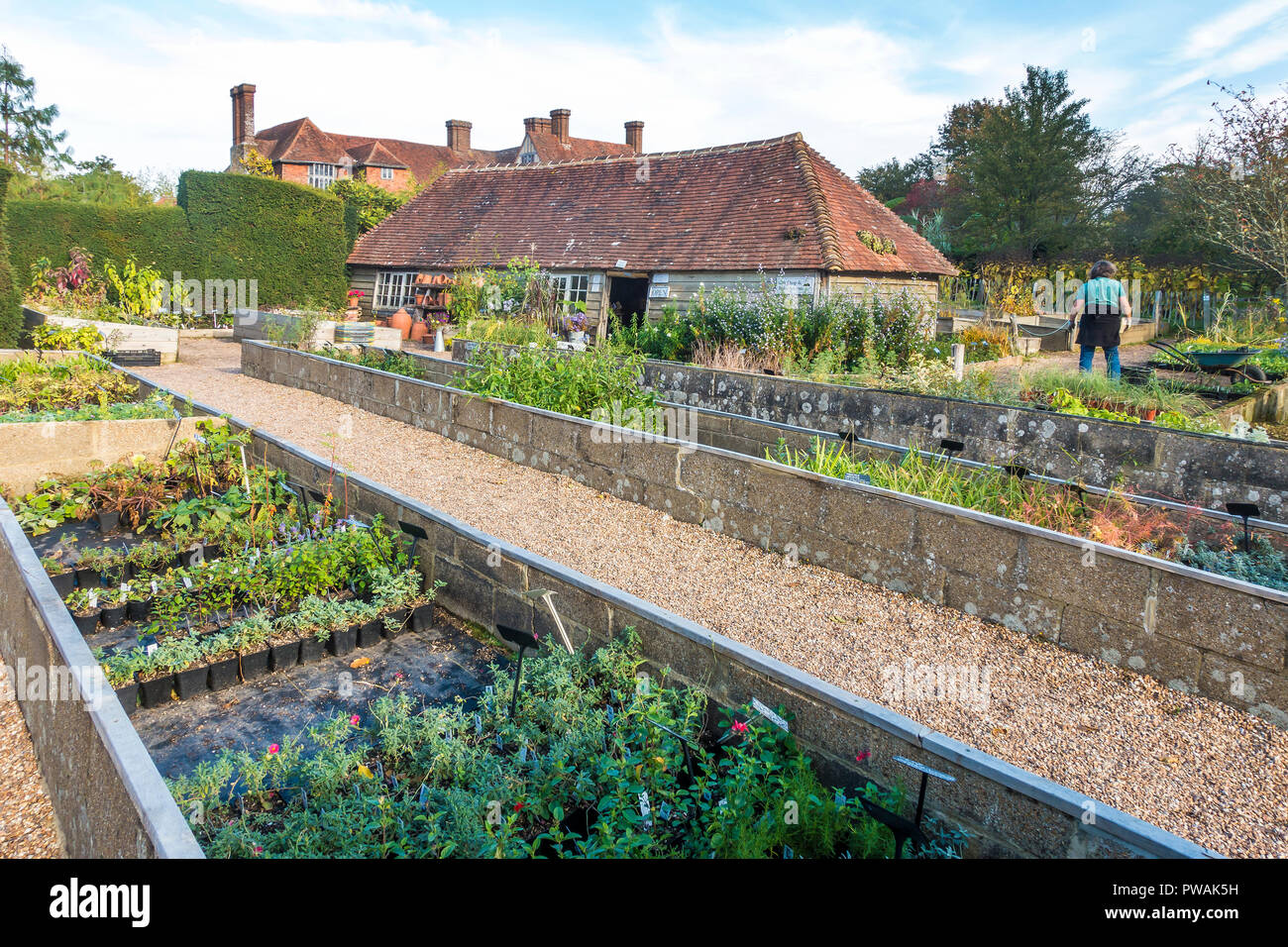 Great Dixter Plant Nursery,Great Dixter,Northiam Stock Photo - Alamy