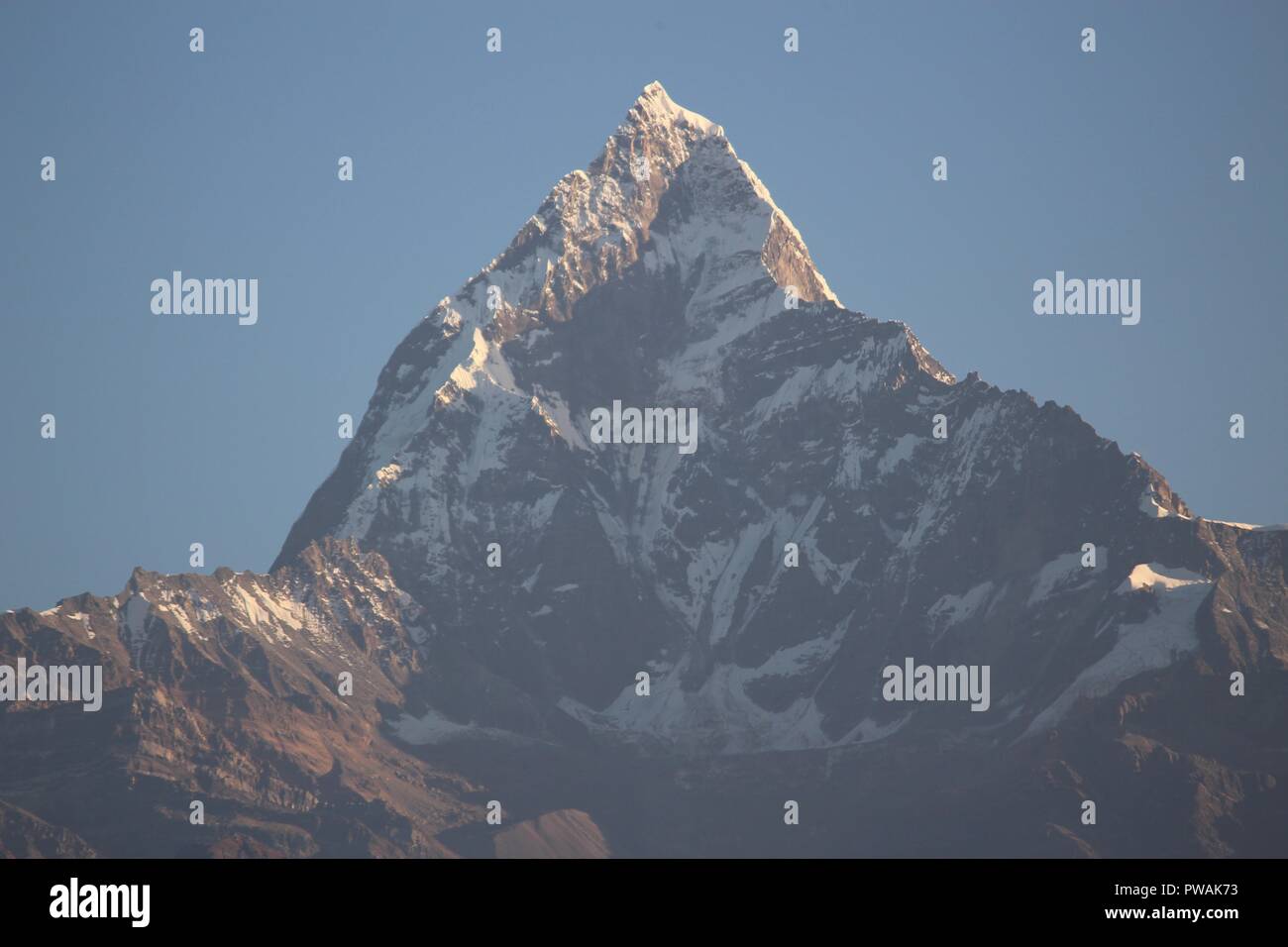 Incredible tail hi-res stock photography and images - Alamy